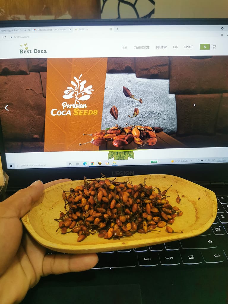 Erythroxylum Coca Seeds - BestCoca
