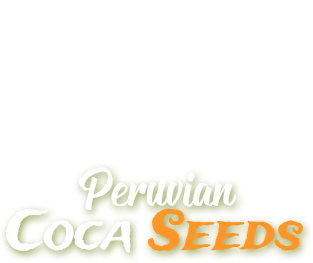Buy Erythroxylum Coca Plant Seeds Online | BestCoca.com